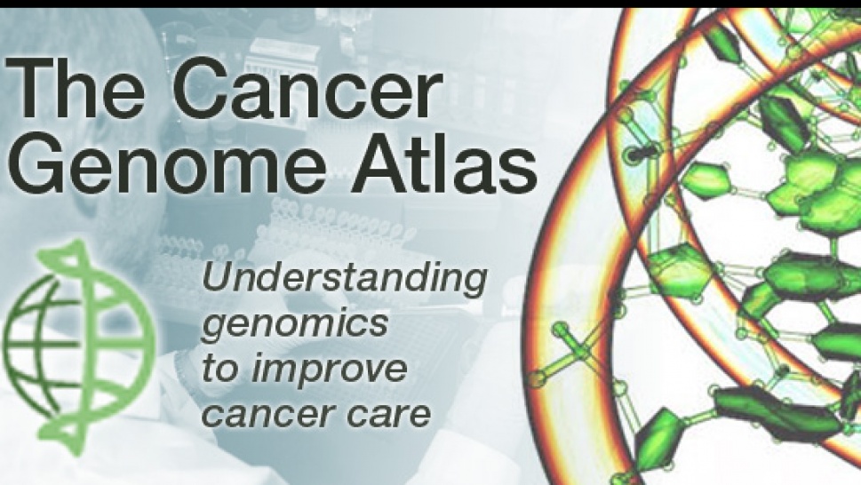 Cancer Genome Atlas - A Cancer Catalog - Glopinion - GLBrain.com