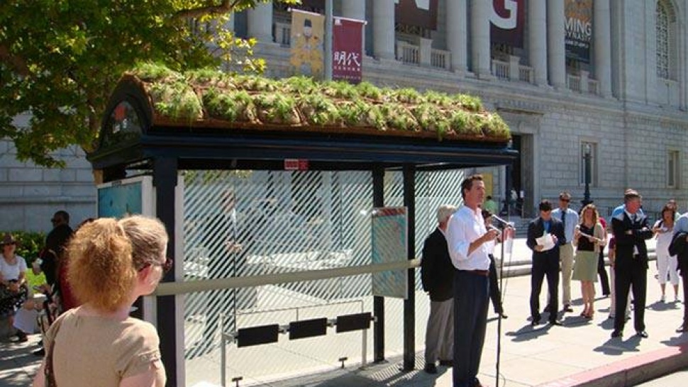 Green Roof Bus Shelter - Article - GLBrain.com
