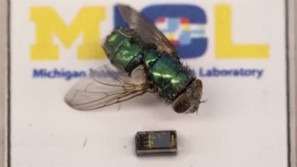 Smallest Computer In The World