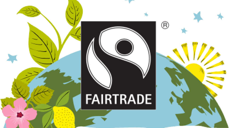 Explaining Fairtrade - Article - GLBrain.com