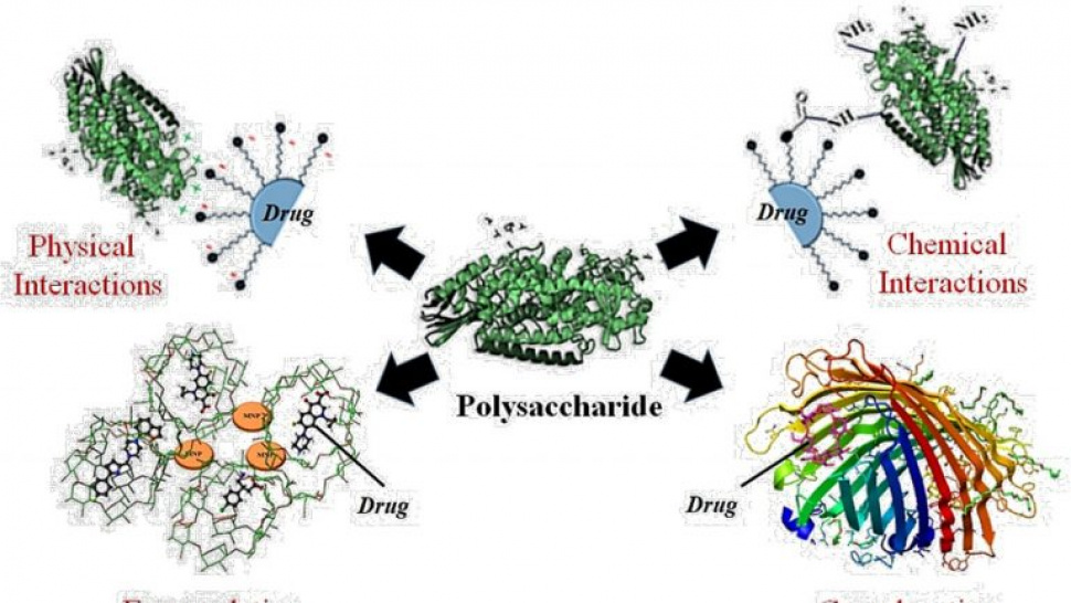 What is a Nano-Drug Delivery System of Natural Polysaccharides ...