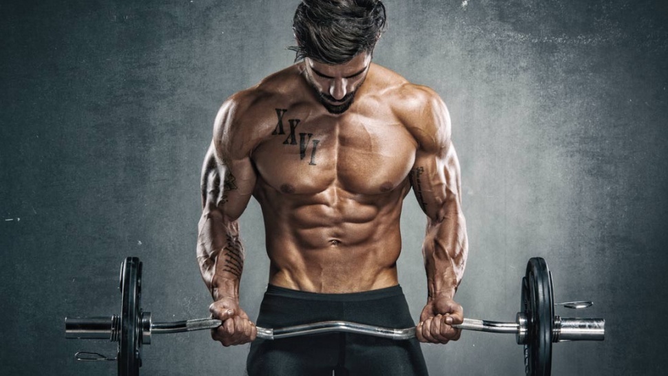 Fitness Master: Level Up Your Biceps Workout - Article - GLBrain.com