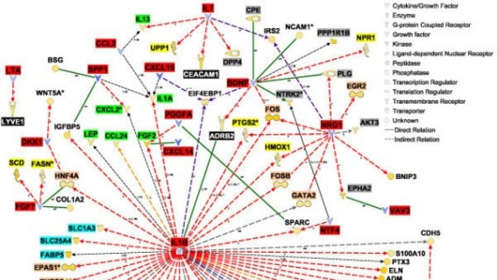 Cytokines and Growth Factors - Glopinion - GLBrain.com