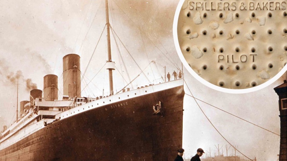 Most Expensive Biscuit Ever - Article - GLBrain.com