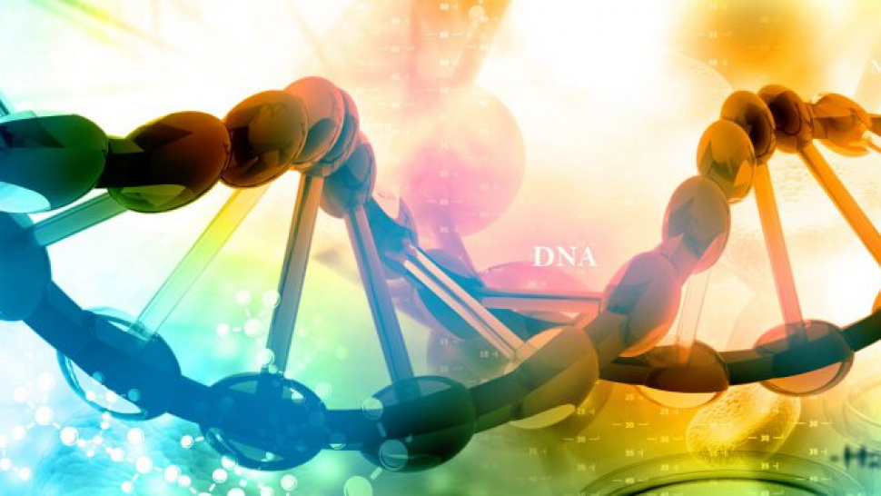 Mastering Colloidal Gold Handling, Storage, and Applications ...