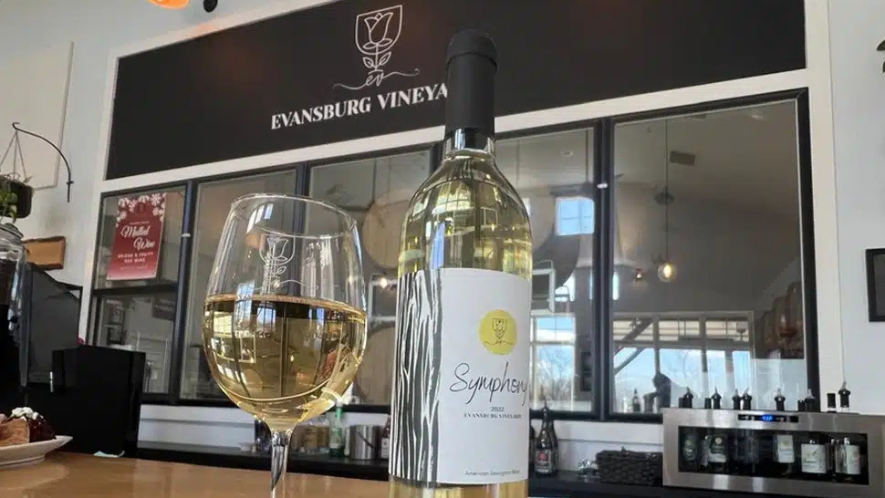 What Makes a Rooftop Wine Tasting Philadelphia So Special? - Glopinion ...