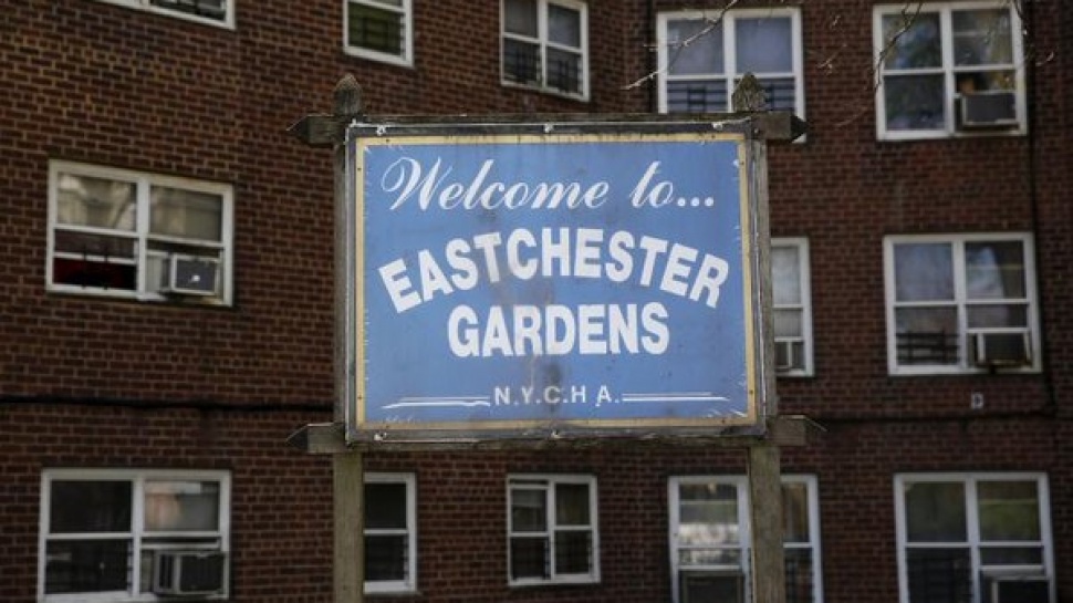 120 Arrested in Largest Gang Bust in New York City - Article - GLBrain.com