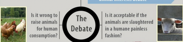 ANIMAL RIGHTS - What is done until now? - Glopinion - GLBrain.com